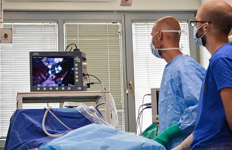 Laparoskopska sterilizacija | Veterina Prva-K